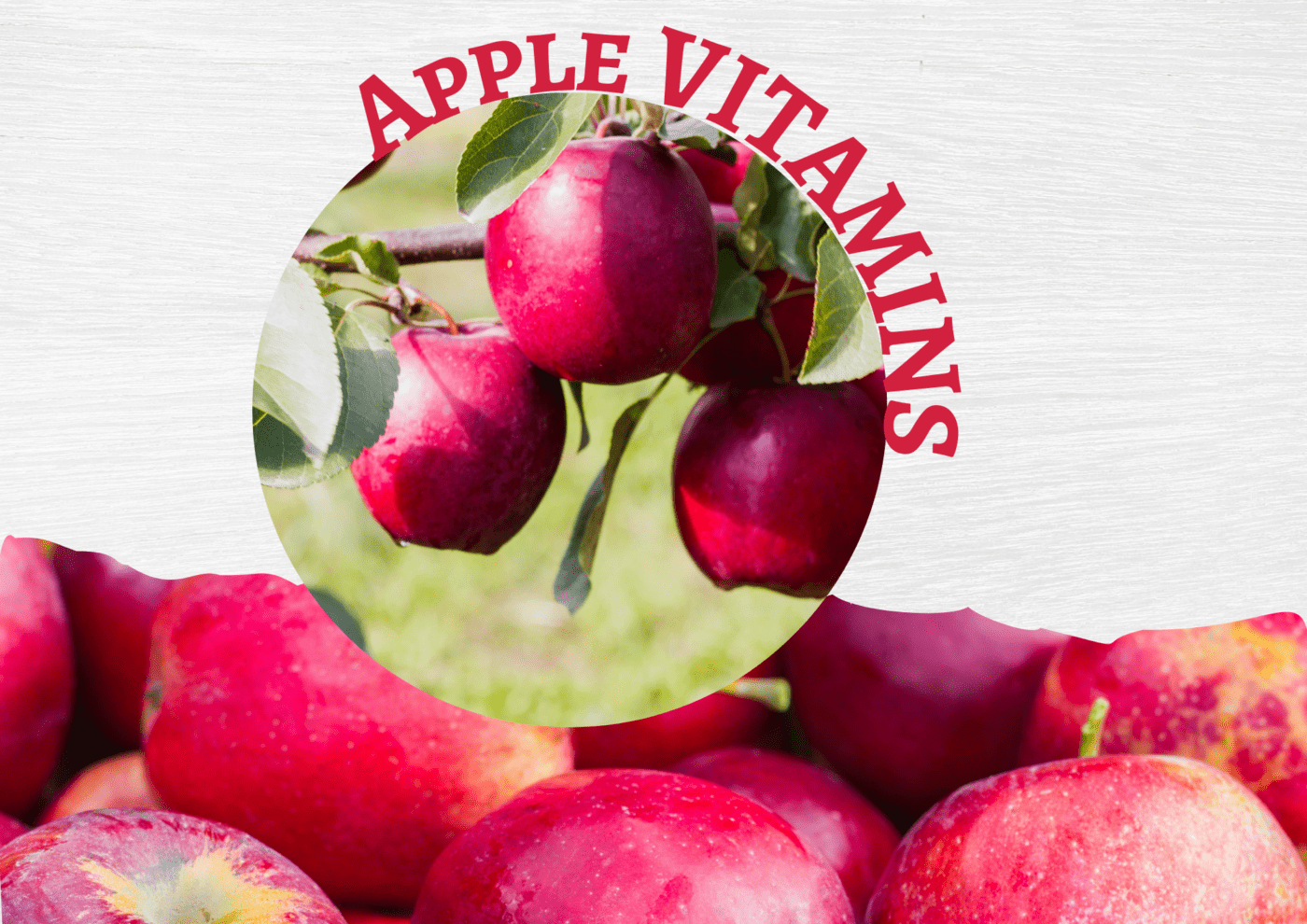 Apple Vitamins: The Health Benefits of Eating Apples for Essential ...